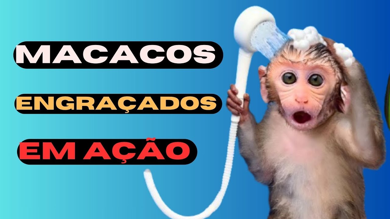 MACACOS ENGRAÇADOS em AÇÃO Momentos Hilários que Vão Te Fazer Rir # ...