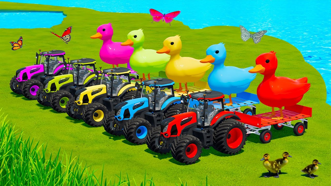 LOAD AND TRANSPORT GIANT DUCKS WITH LANDINI TRACTORS & CASE LOADERS ...