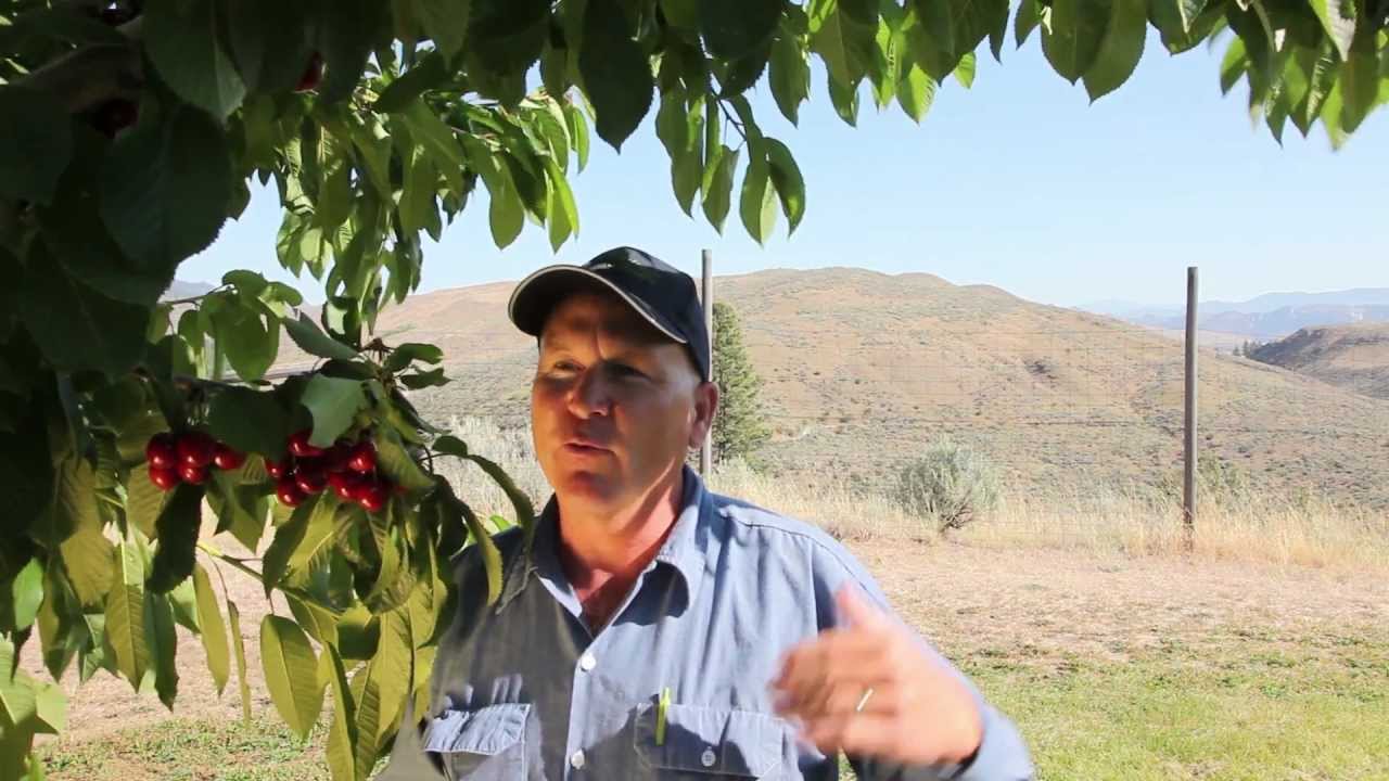 Grower Profile: Ron Moon - YouTube