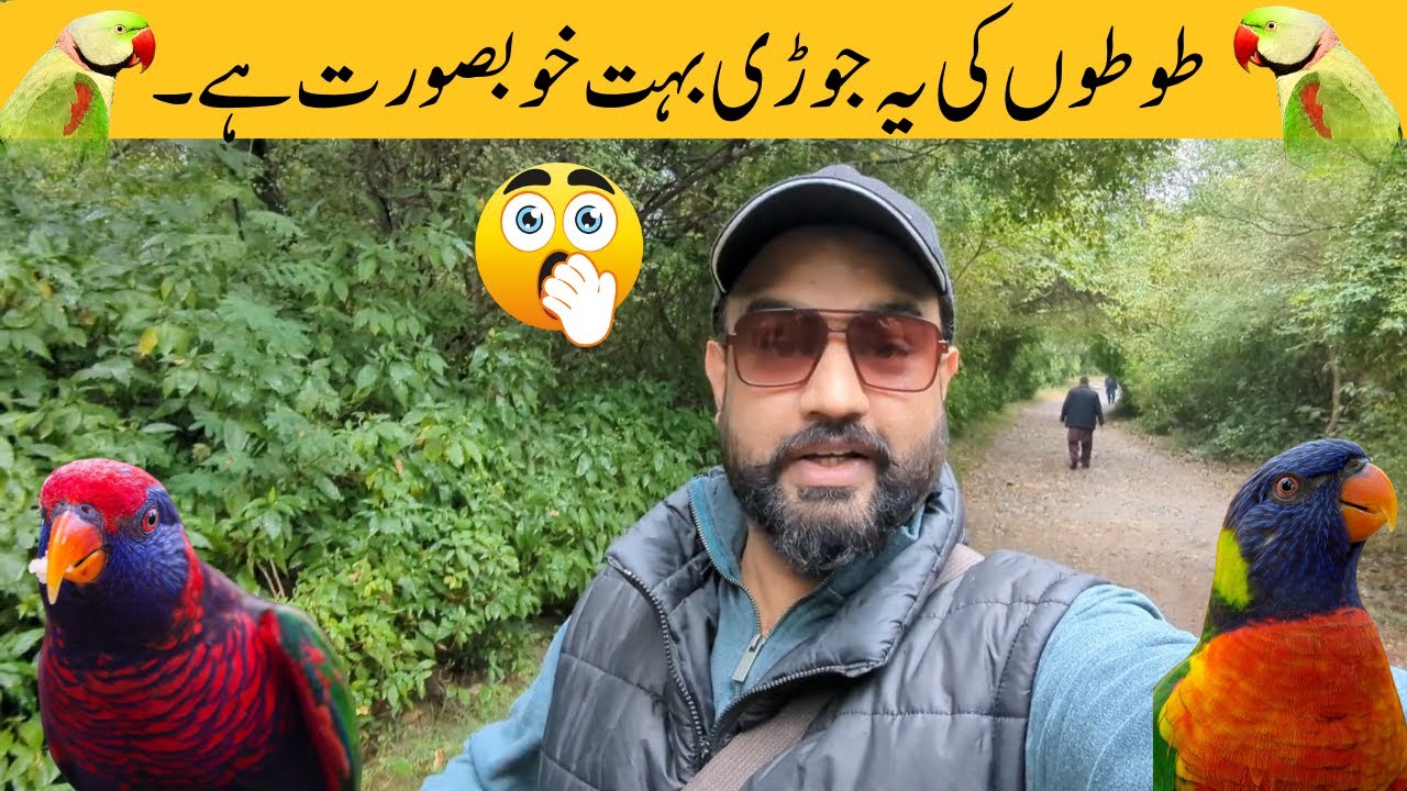 Kuch Birds Pasand Agaye Finally - YouTube
