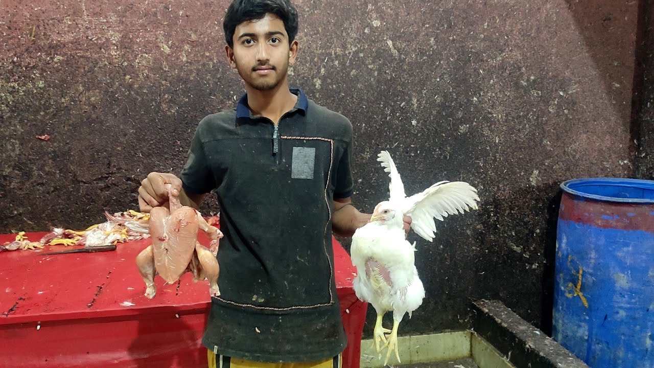 Best Chicken Cutting || Skills Amazing Chicken Cutting Murga || cutting ...