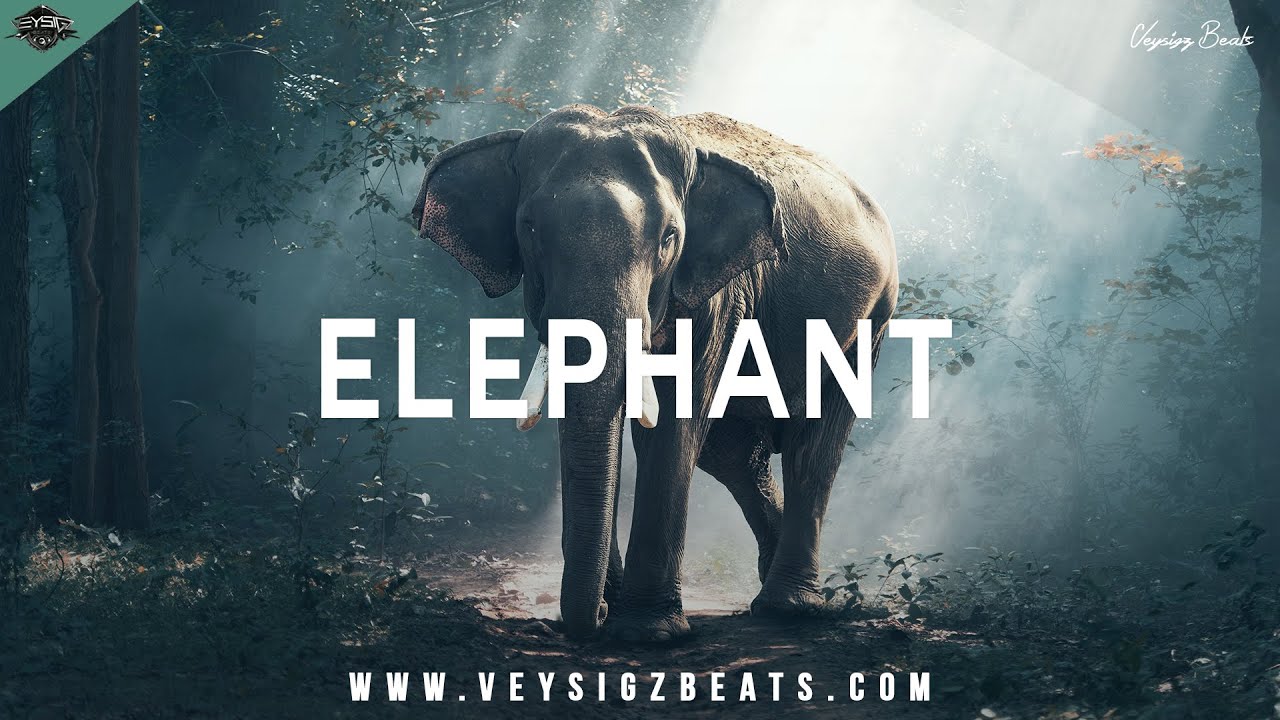 Elephant - Hard Aggressive Rap Beat | Angry Uplifting Hip Hop ...