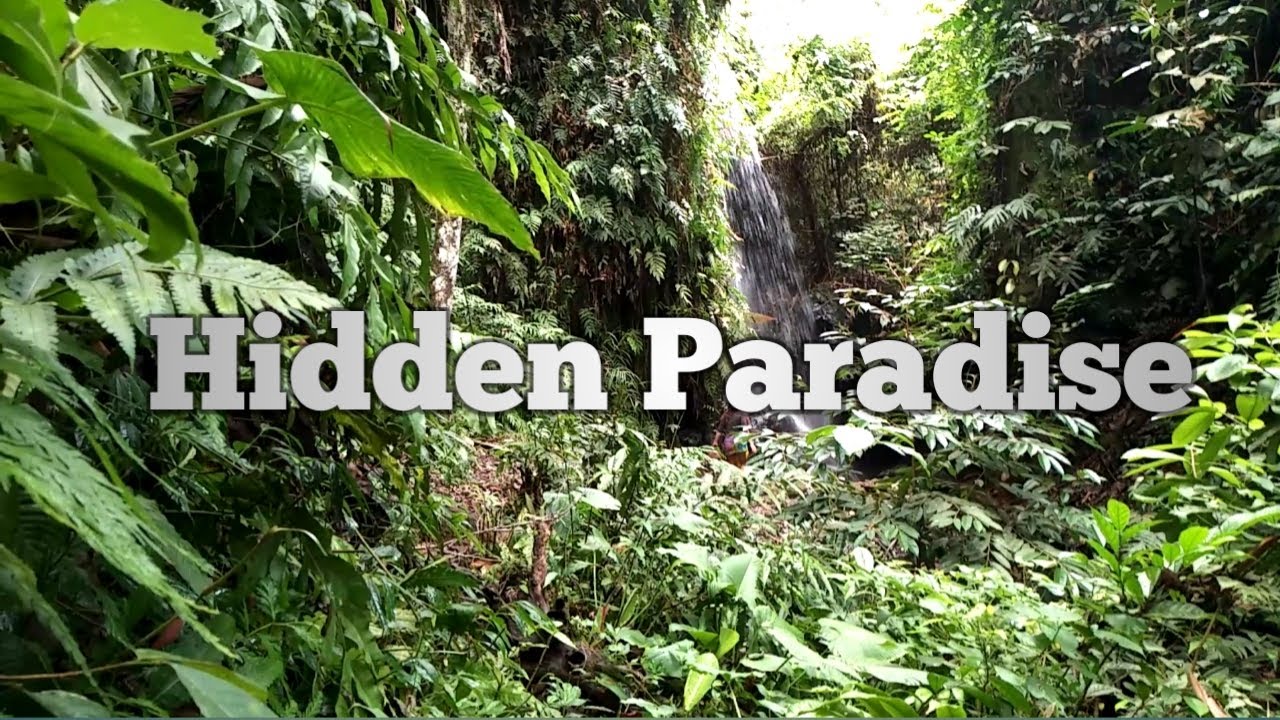 Exploring the hidden waterfall of tampakan/ fascinating nature scenery ...