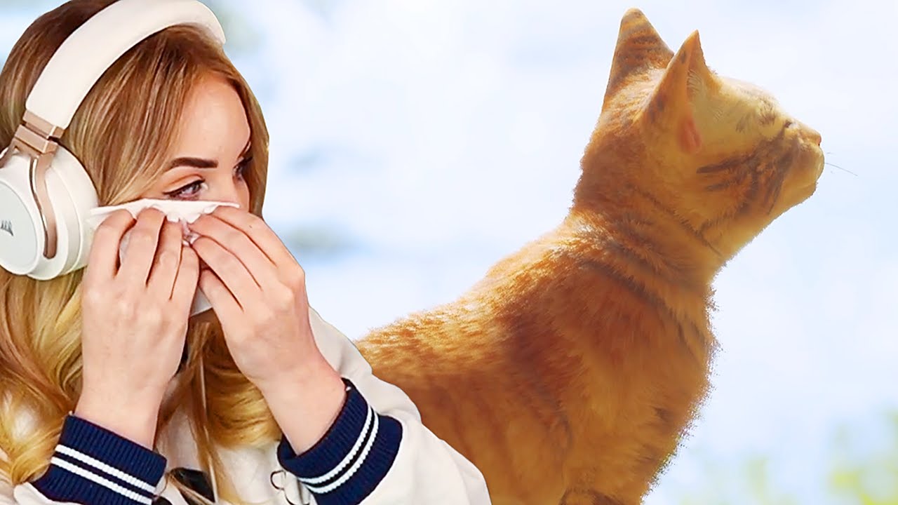 I love cats - Stray highlights (Ending) - YouTube