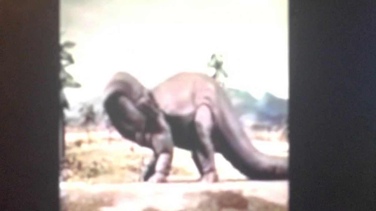 Allosaurus and brontosaurus - YouTube