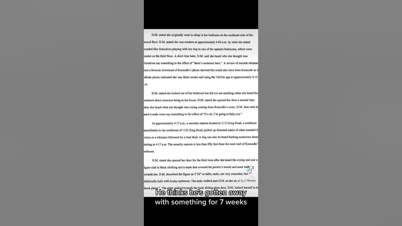 Surprising Details from the Idaho 4 Suspect’s Affidavit!! - YouTube