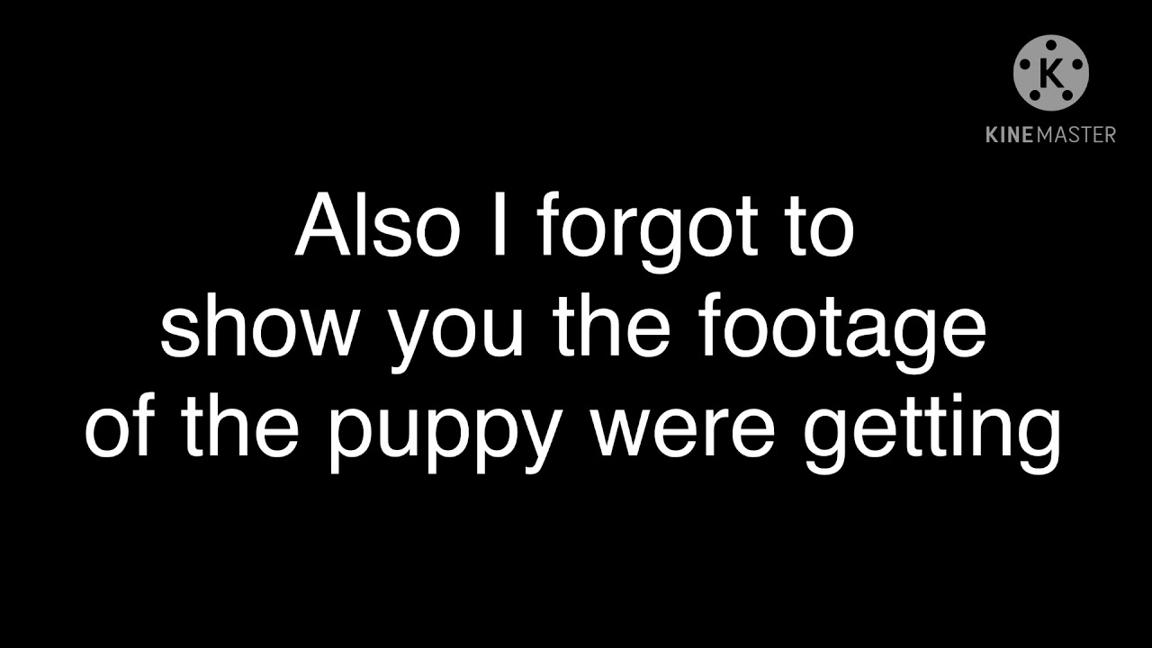 I Need Name Suggestions For Our New Puppy YouTube i-need-name-suggestions-for-our-new-puppy-youtube