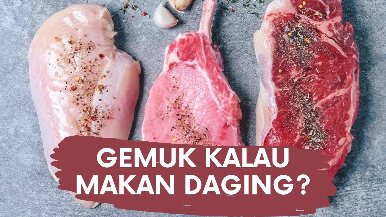 MANA LAGI BAGUS? DAGING MERAH ATAU DAGING PUTIH? | Coach Tas - YouTube