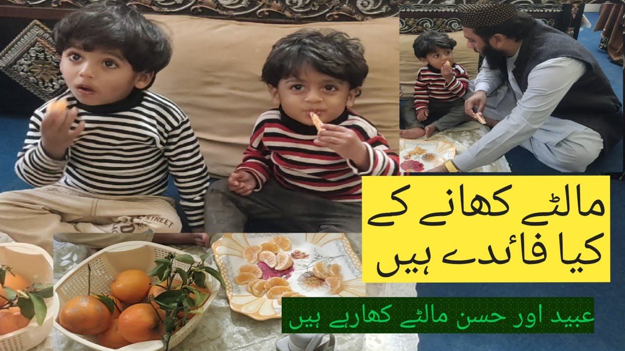 Malty khany k faidy || Orange khany k faidy - YouTube