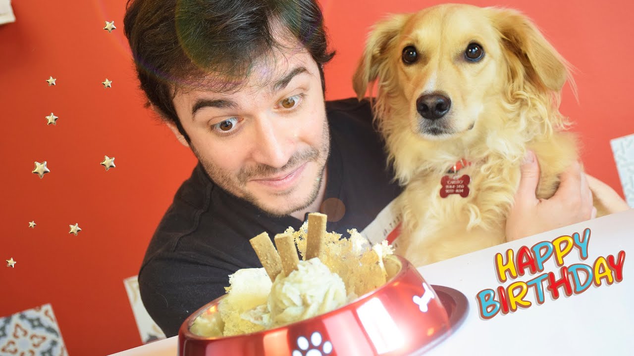 A FANTÁSTICA HISTÓRIA DE CARLITO ️| BOLO PARA CACHORRO - YouTube