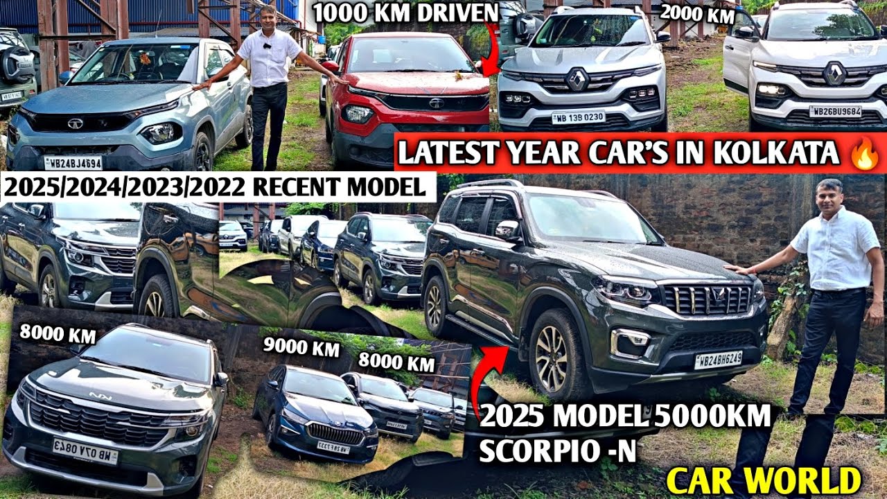 Recent Years CARS 1000KM TATA PUNCH,SCORPIO-N🔥| 2025/2024/2022/2021 ...