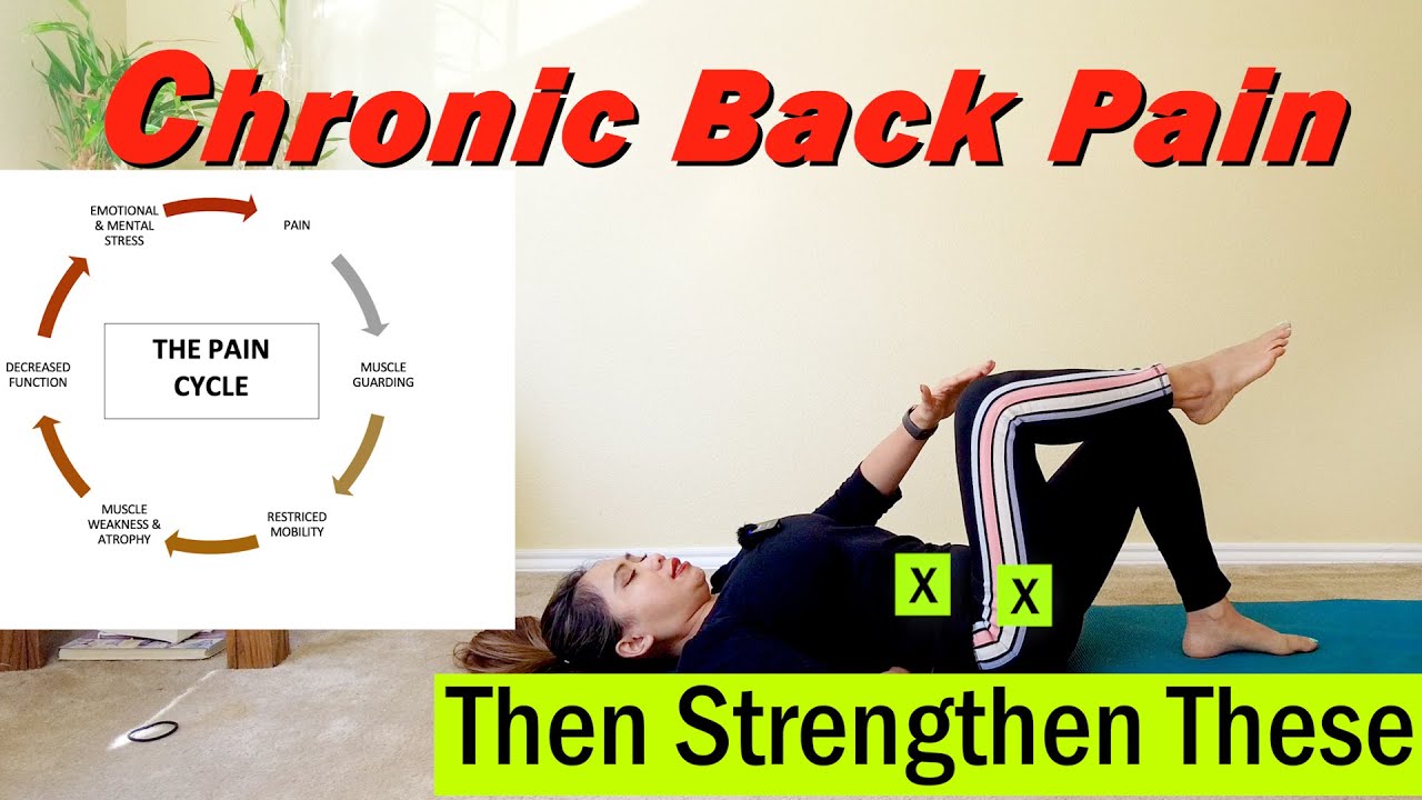 How To Fix Chronic Low Back Pain With Gentle Exercises? - YouTube