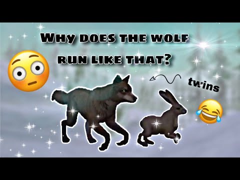 Wildcraft: Why does the wolf run so weird? - YouTube