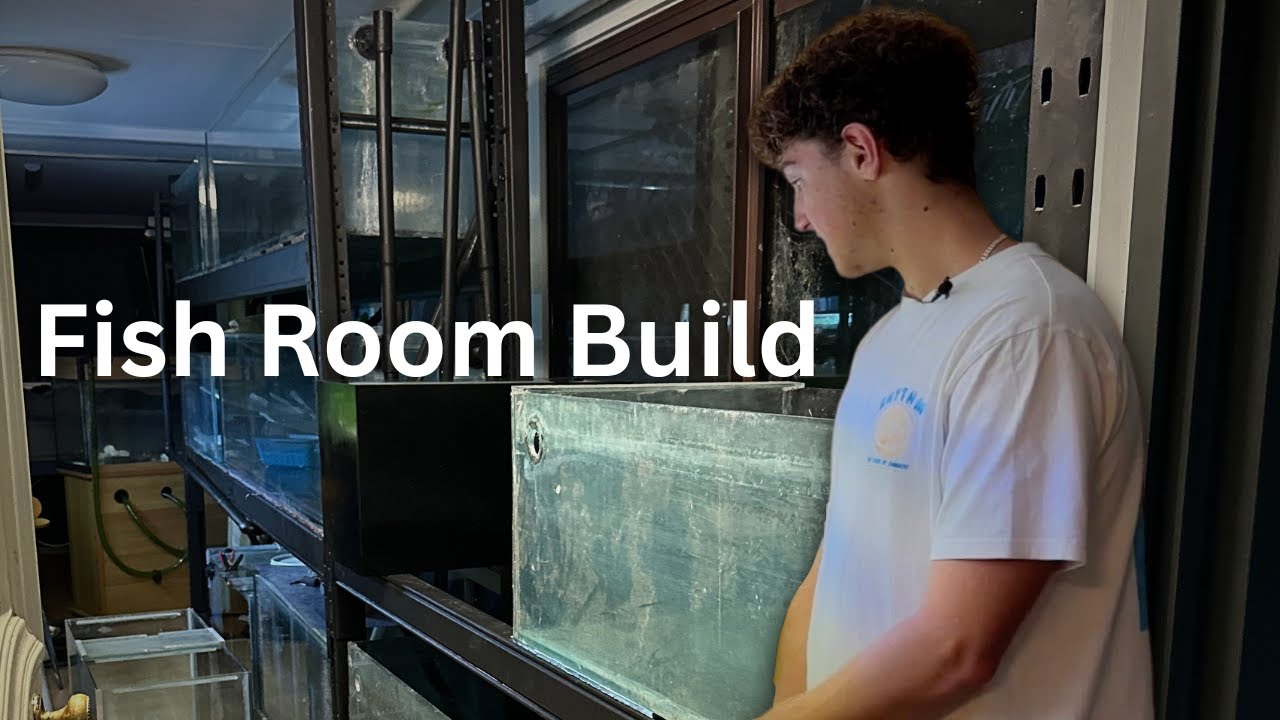 Building a Fish Room | Finishing Touches (part:2) - YouTube