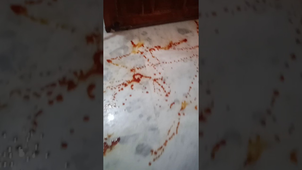 Blood in our house. - YouTube