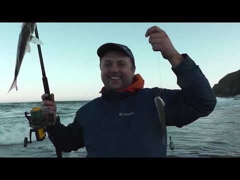 Catching Surf Perch. Washington Fishing 2020 - YouTube