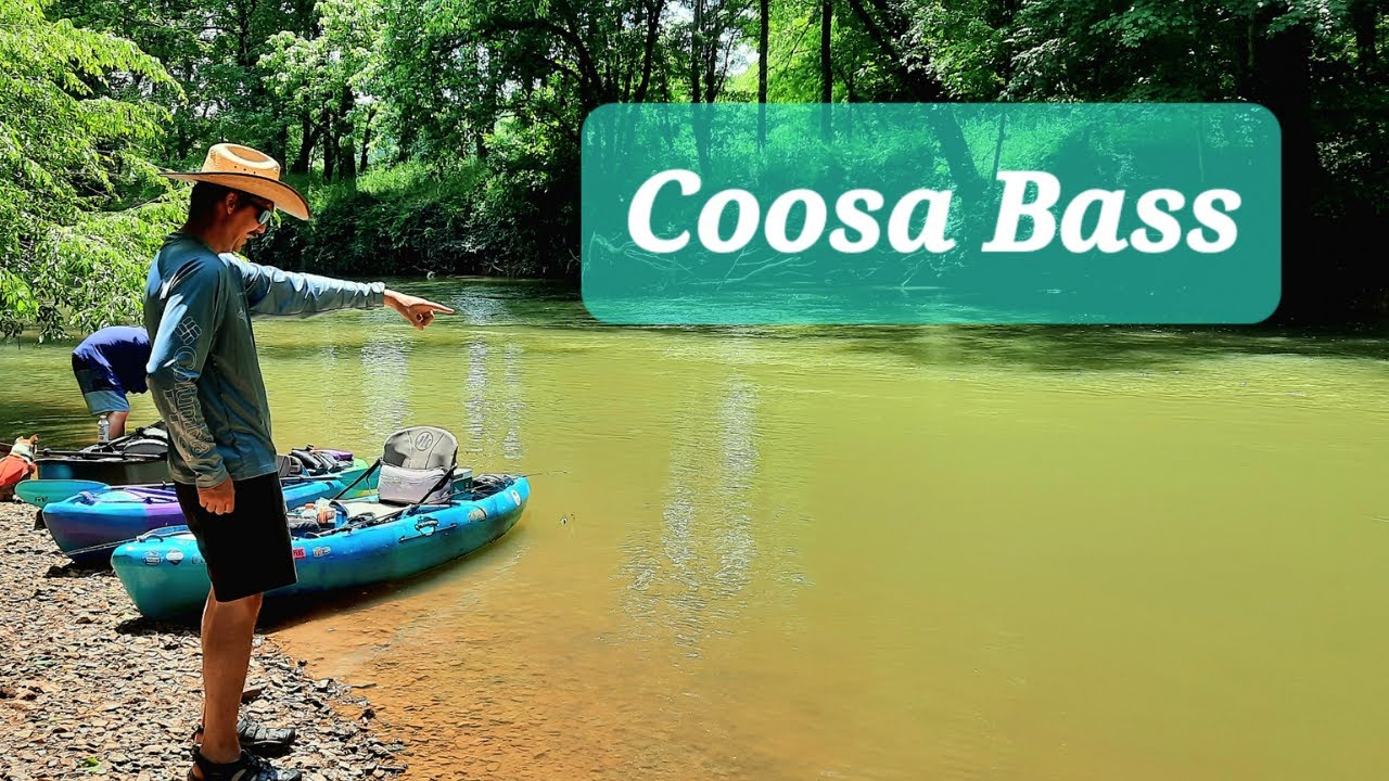 Corn Dog Cowboy the Return - YouTube