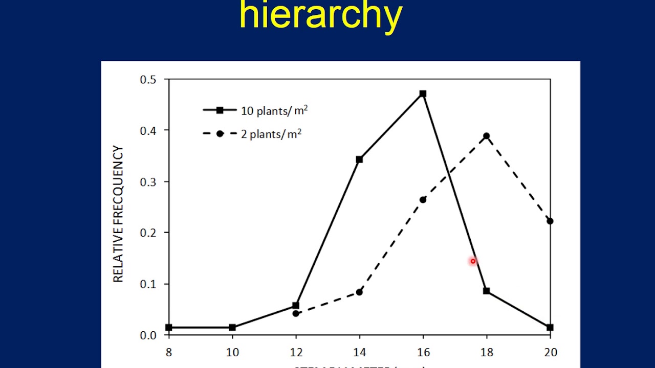 Lecture Crop productivity and plant density - YouTube