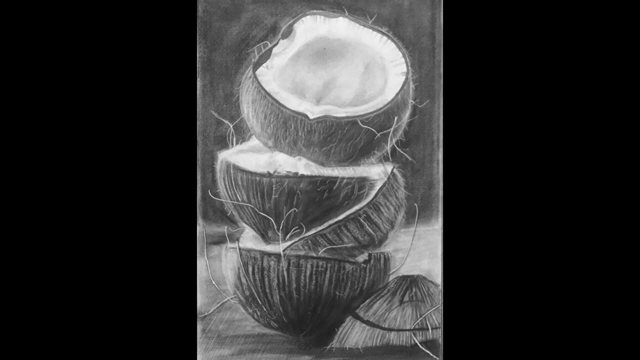 How to draw realistic coconuts #stilllifedrawing #objectdrawing - YouTube
