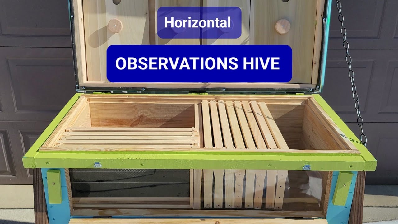 Horizontal Hive Build Observation Hive #horizonatalhive #longhive - YouTube