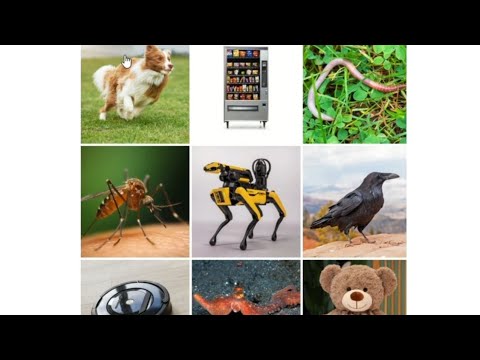 I'm not a robot level 29 walkthrough - YouTube