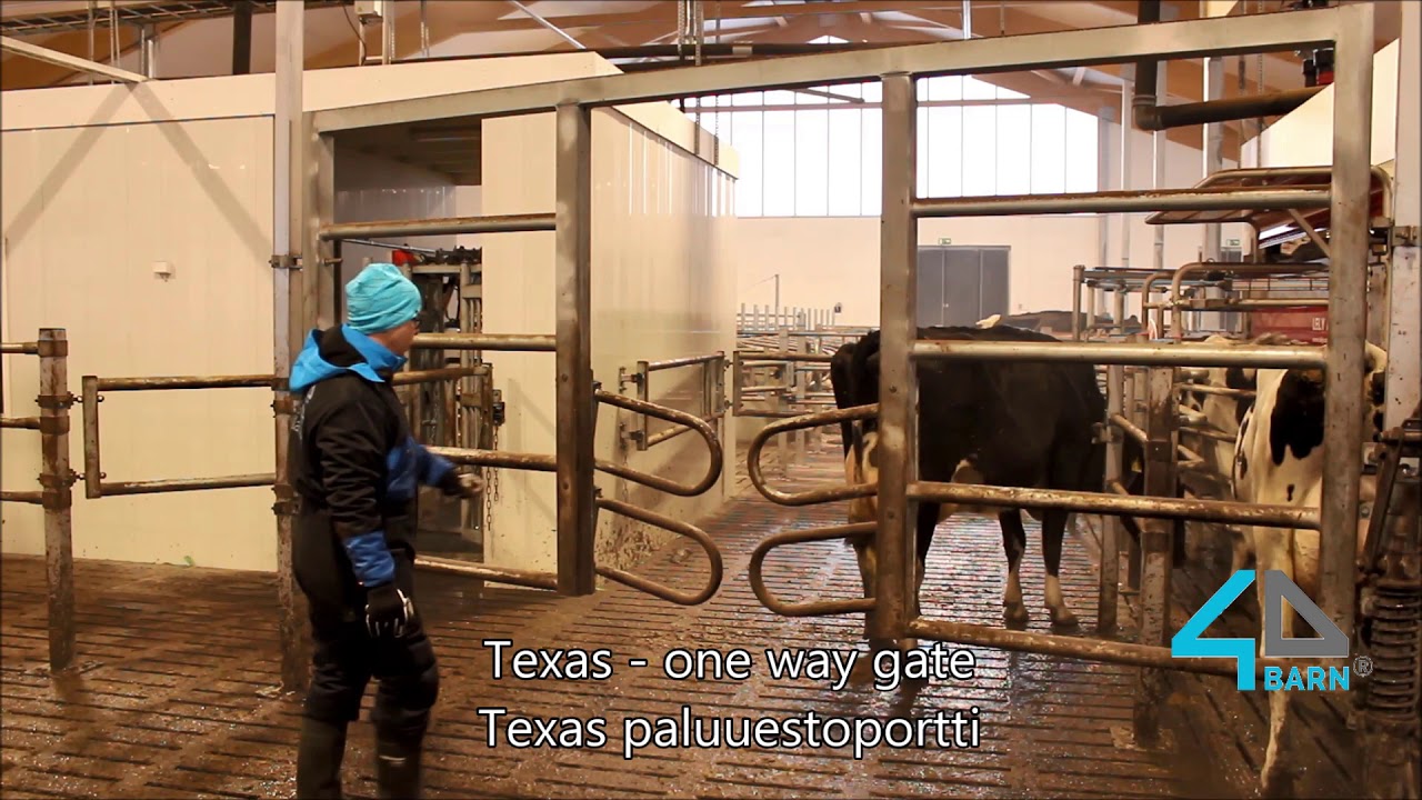 Texas one way gate - Texas paluuestoportti - YouTube