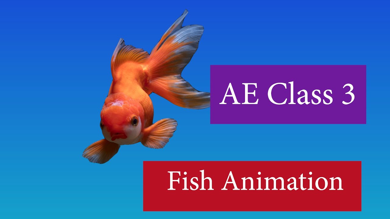 How to Animate Fish in After Effects I After Effects Tutorial Class 3 ...