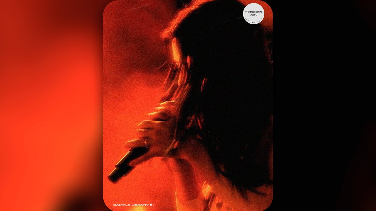 🔥 (FREE) Vintage Sample Pack | Sample Pack - "Lights In Permanence" (Vintage, Detroit, Ambient ...