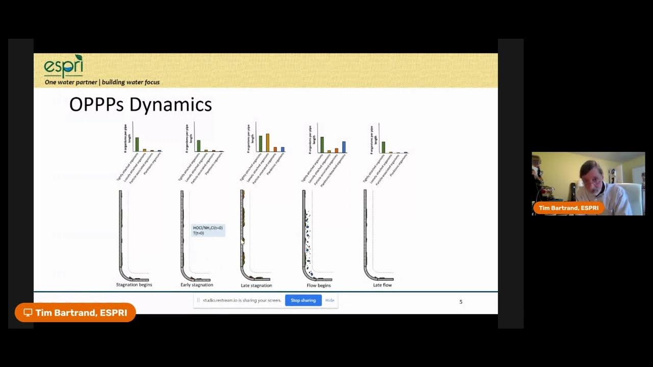7C Control Strategies for Pathogens - YouTube