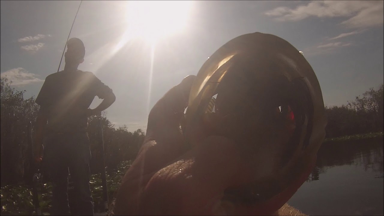 Fishing with Scott Martin in the Everglades - YouTube
