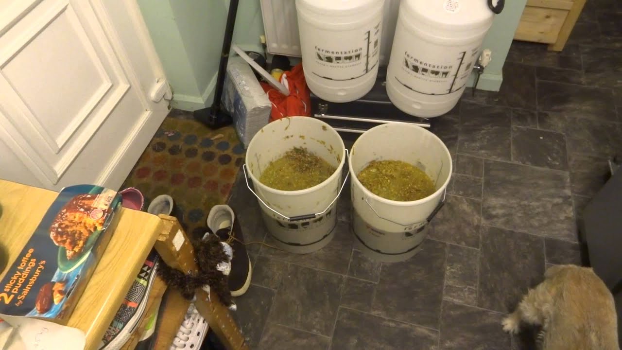 Mashed Grapes Film - YouTube