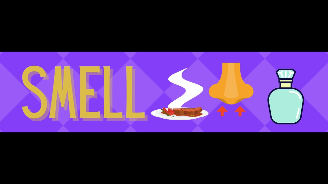 FIVE SENSES ANIMATED Virtual BANNERS | 5 SENSES VIRTUAL HEADERS|GOOGLE ...