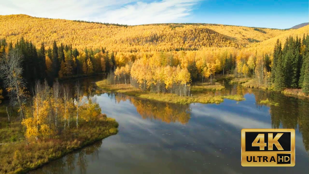 Autumn Foliage at Fairbanks 20220915 4K - YouTube