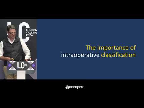 Robbing the array to feed the pore: exploring ultra-fast brain tumour diagnosis