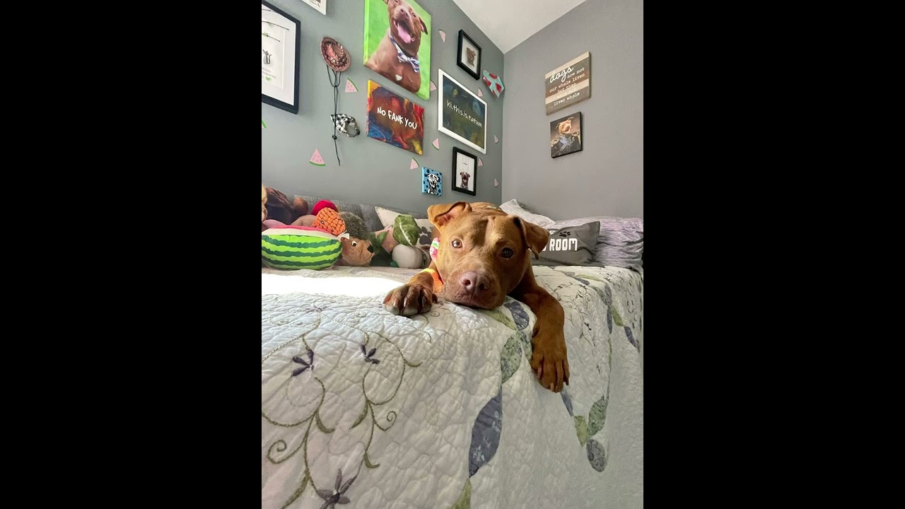 Tatum Talks Anxiety - YouTube