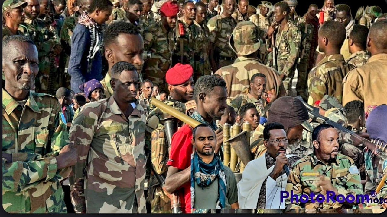 degdeg warkii caawa oo dood kulul khawaarijtii oo vaxsad ah galmudug oo ...