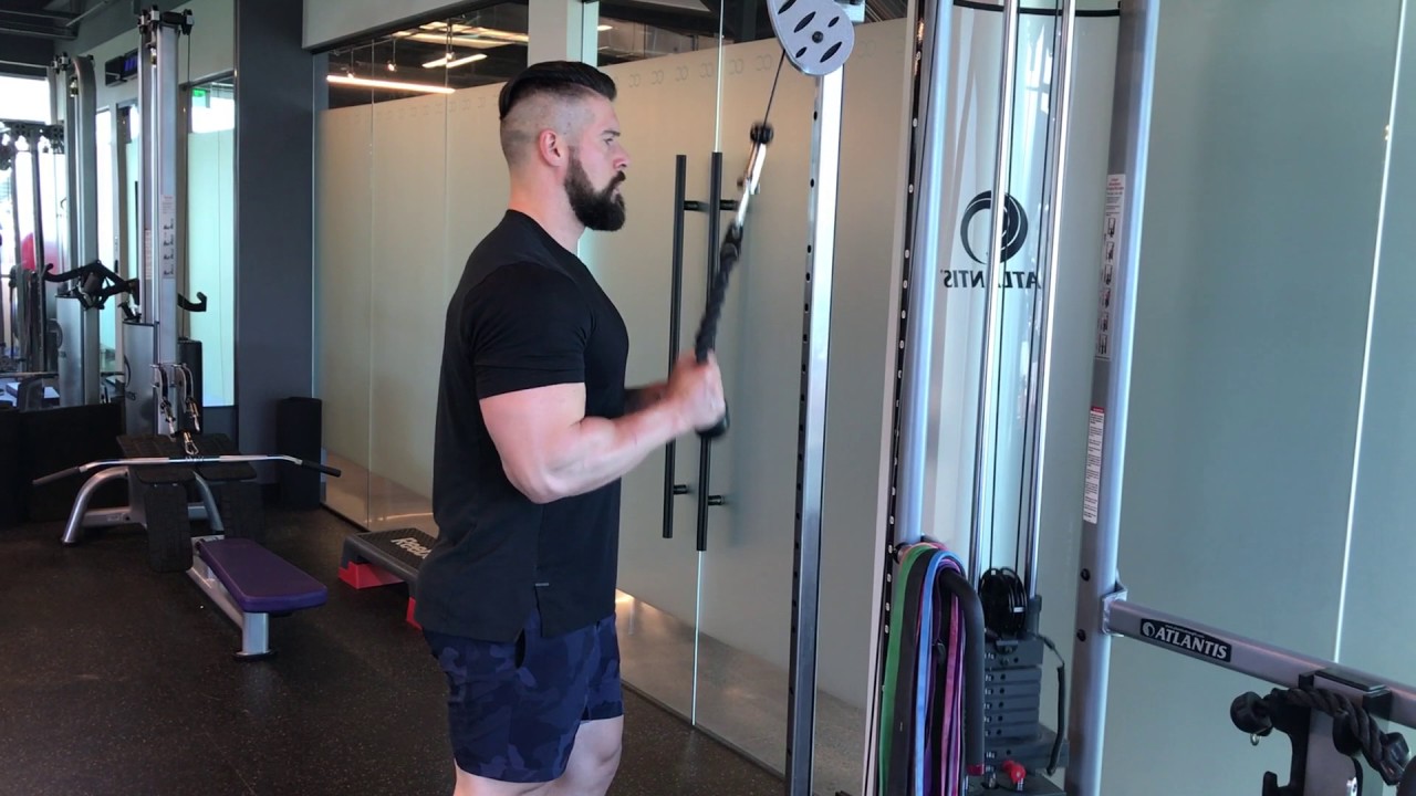 Pressdown - Standing - Close Grip - Neutral - Rope - YouTube