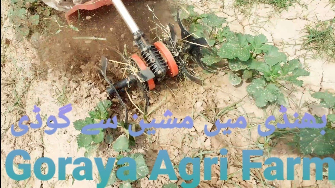 Bhindi main machine k sath Goddi( use of tillerring machine ) - YouTube