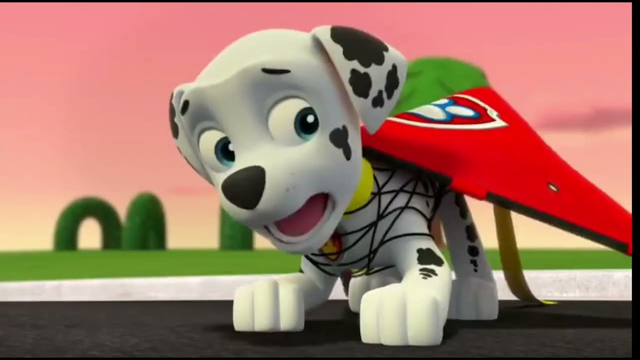 PAW Patrol: Marshall Gets Stuck in a Kite. - YouTube