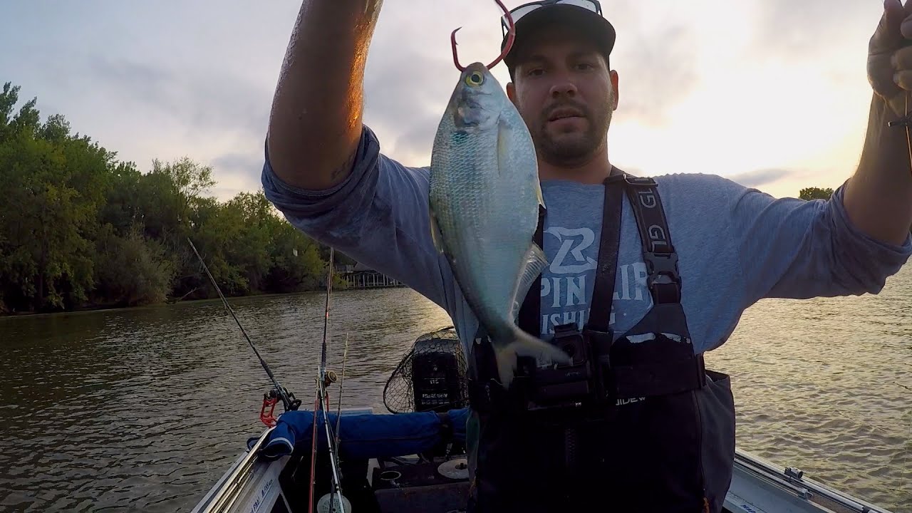 Early FALL Catfishing! (Multiple Fish) - YouTube