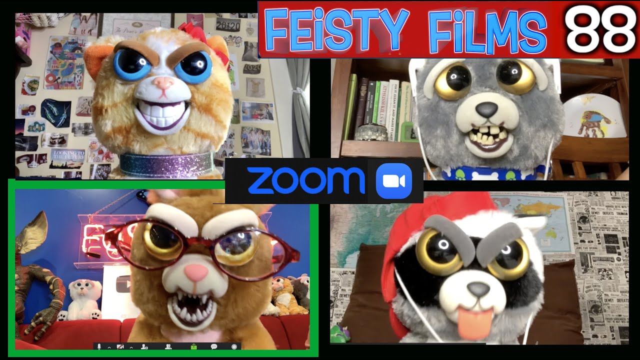 Feisty Zoom Catastrophe! Feisty Films Ep. 88 - YouTube