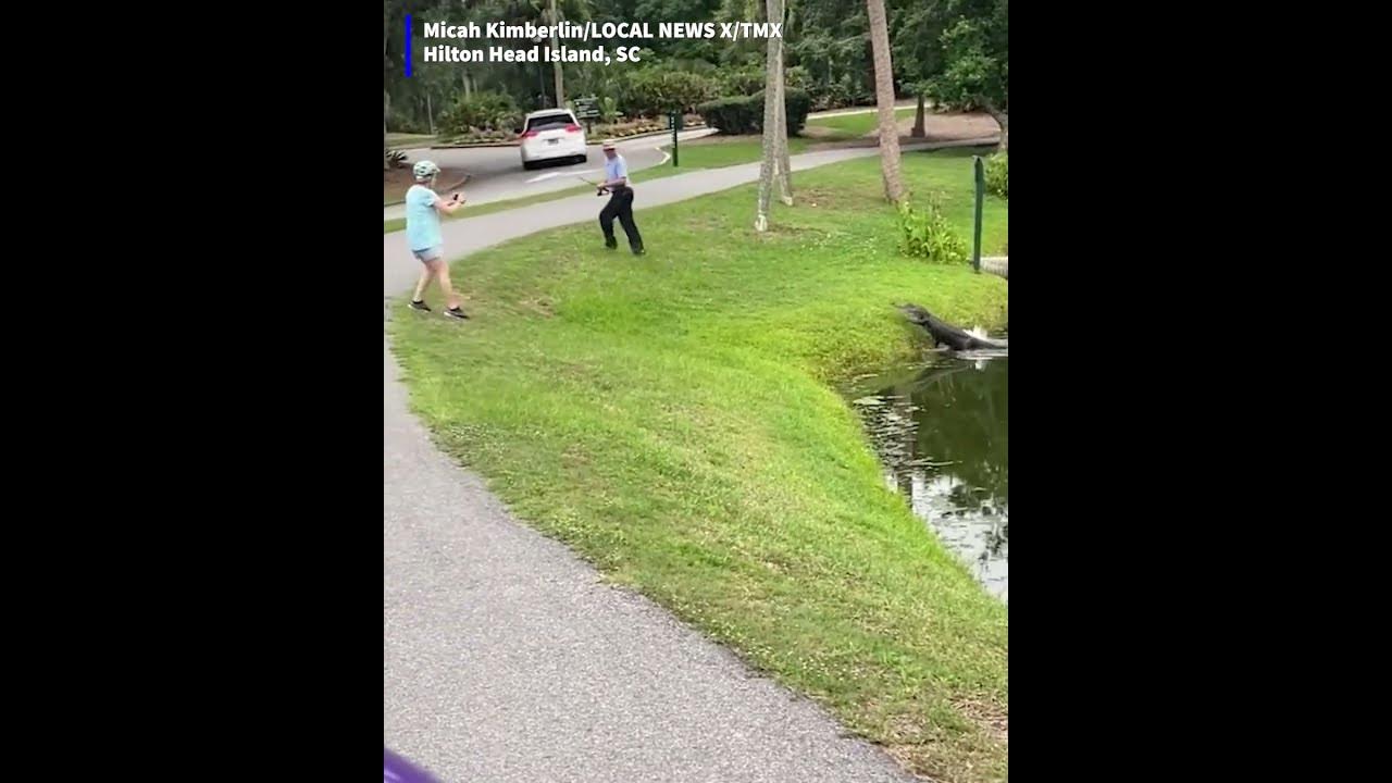 Alligator chases fisherman - YouTube