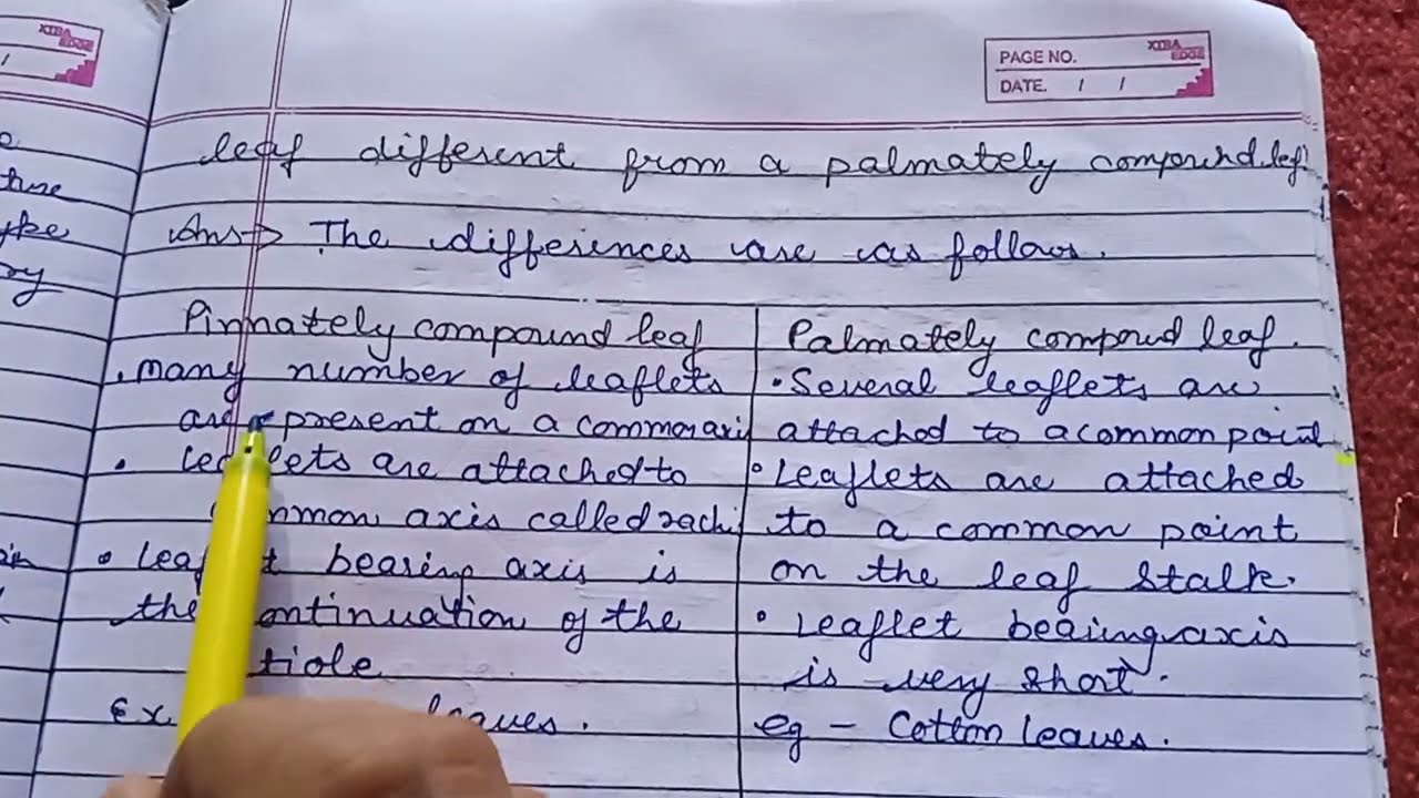 Pinnately Compound Vs Bipinnately Compound