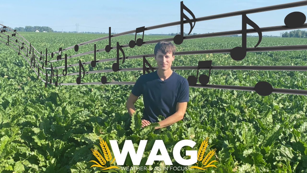 The Musical Farmer From Girl Meets Farm - YouTube