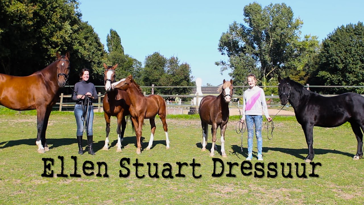 Portret van Ellen Stuart - YouTube