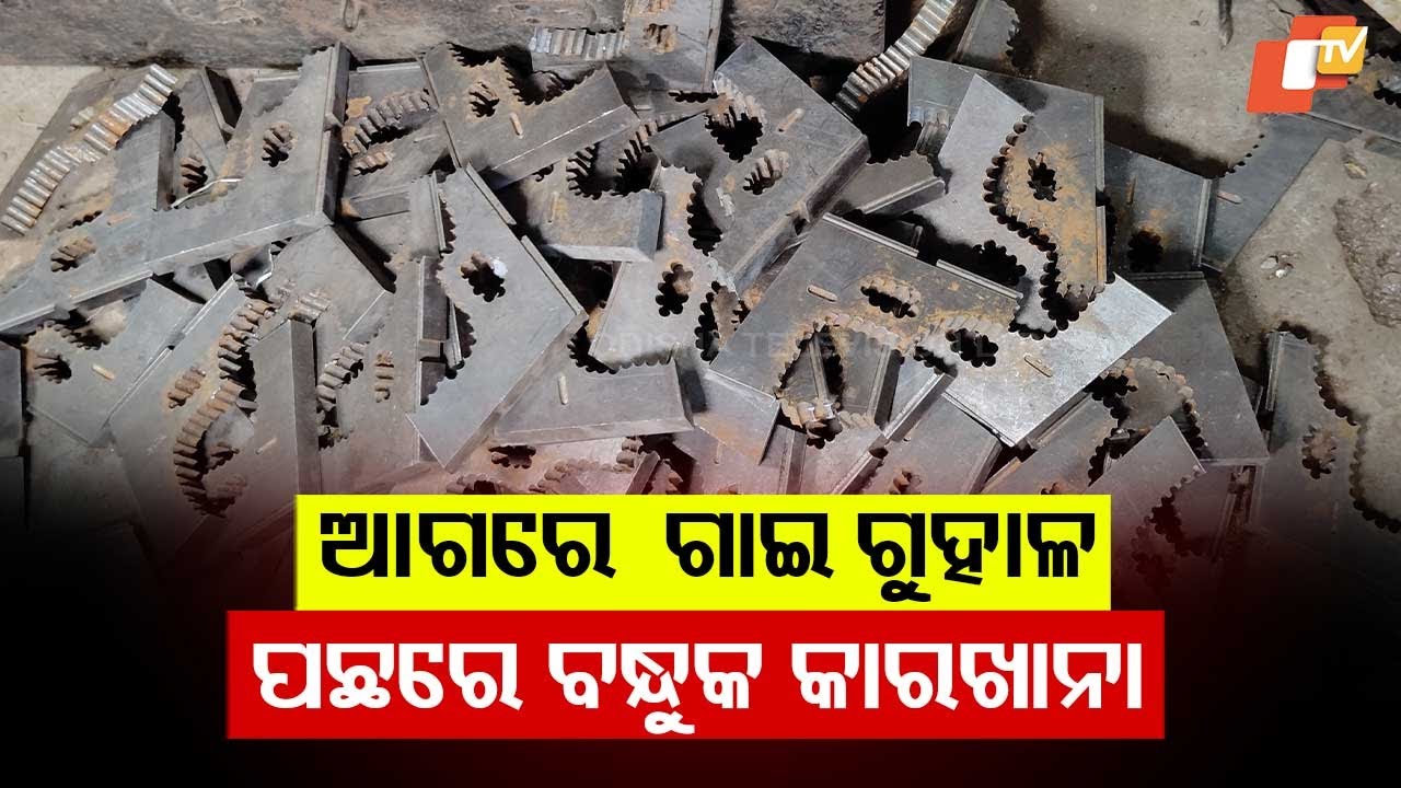 Illegal Gun Factory Hidden Behind Cattle Shed Busted in Odisha Crime ...