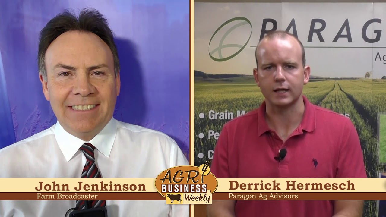 Agri Business Weekly Market Update with Derrick Hermesch - YouTube