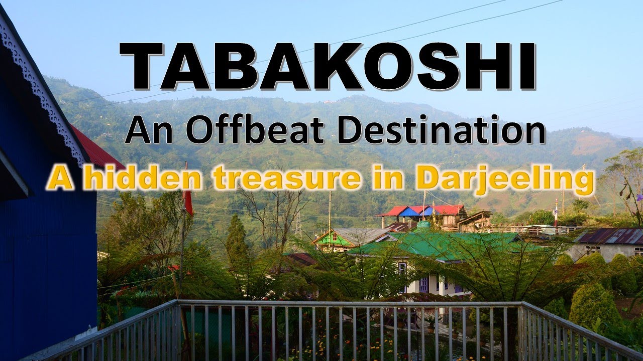 Tabakoshi | An Offbeat destination | A tea village | Darjeeling | Hindi ...