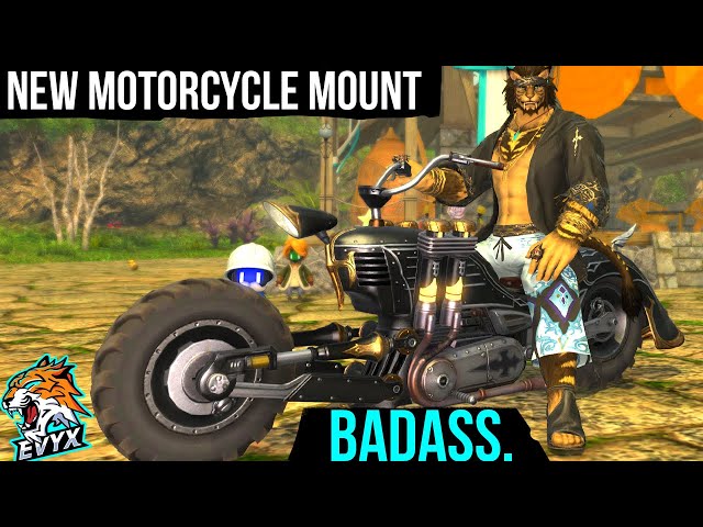 Ffxiv Mounts 2 Person