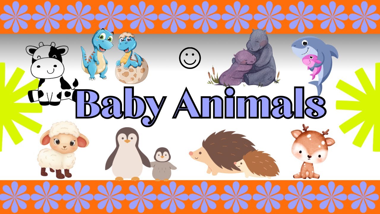 Baby Animals - Learn English For Kids - English Educational Video - YouTube